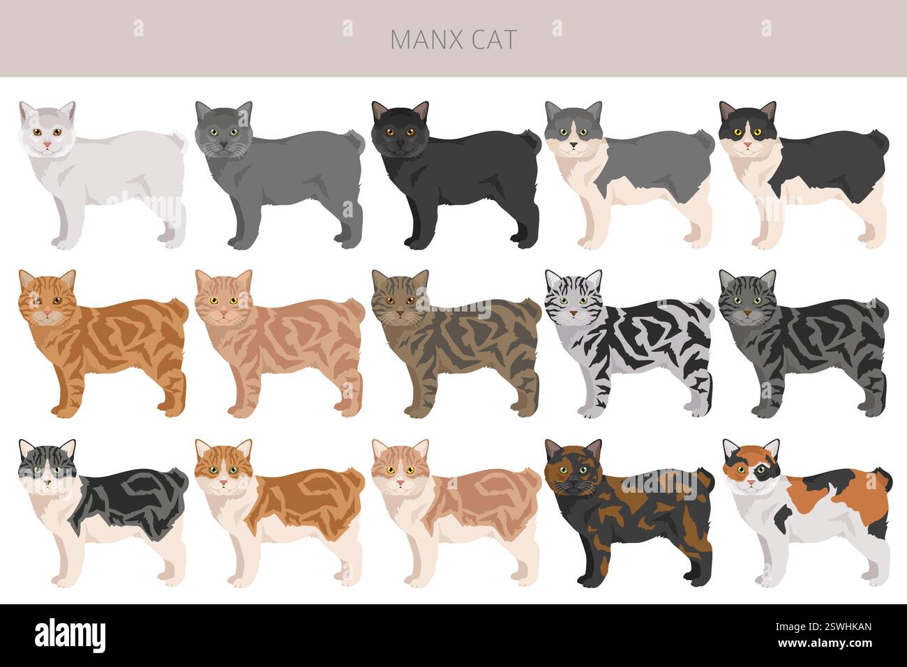 Clipart Manx Cat. Toutes les couleurs de manteau sont définies ...
