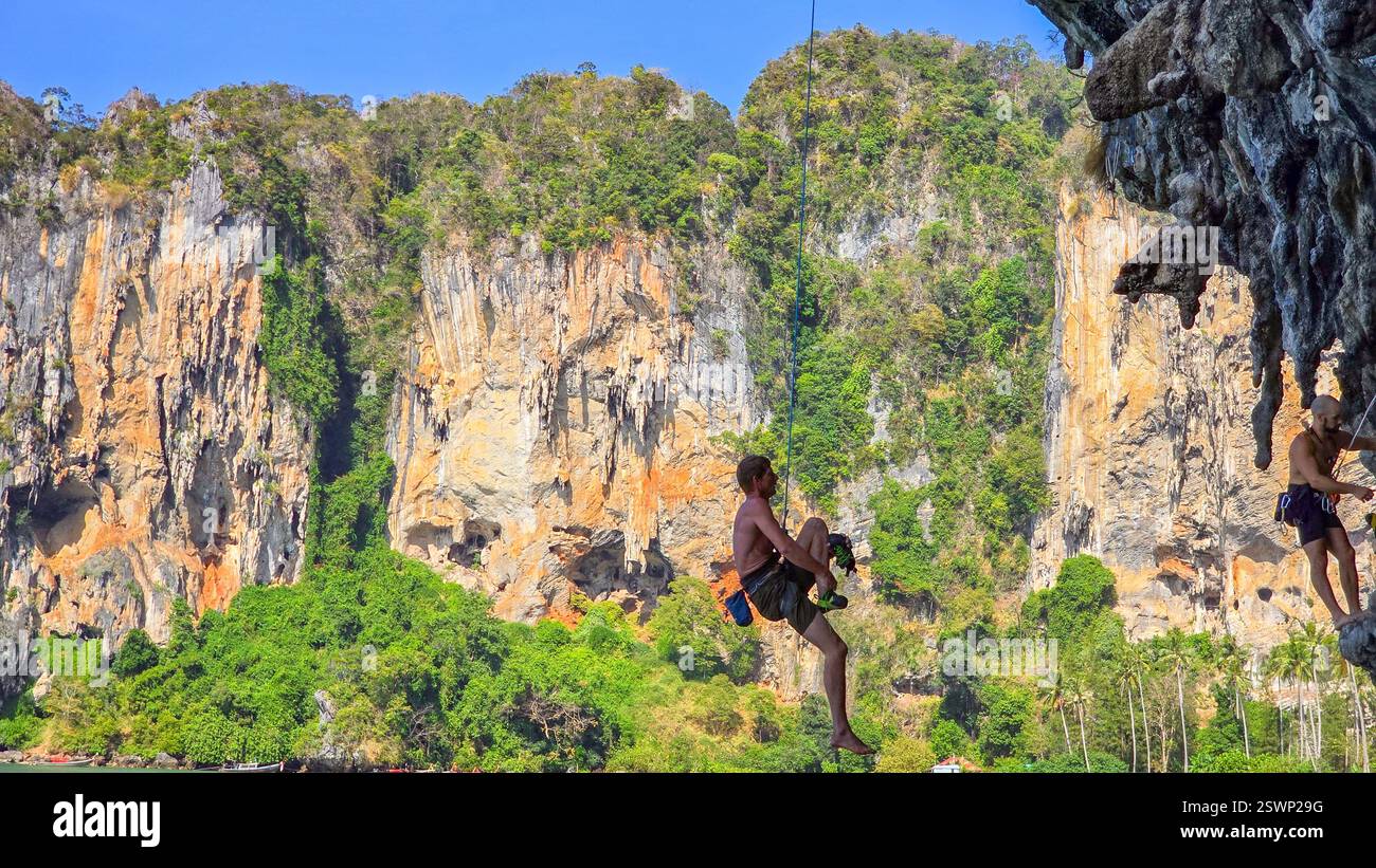 Krabi Thaïlande 31 janvier 2025, les aventuriers escaladent les superbes falaises de Railay ...