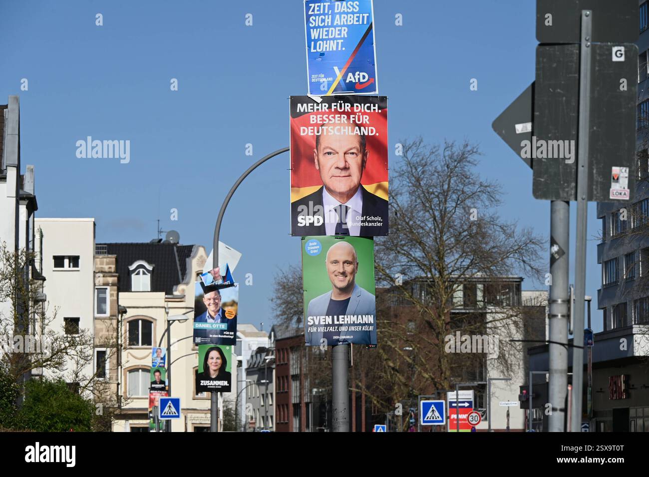 Wahlplakate von AFD, SPD, Grüne zur Bundestagswahl 2025 an einem ...