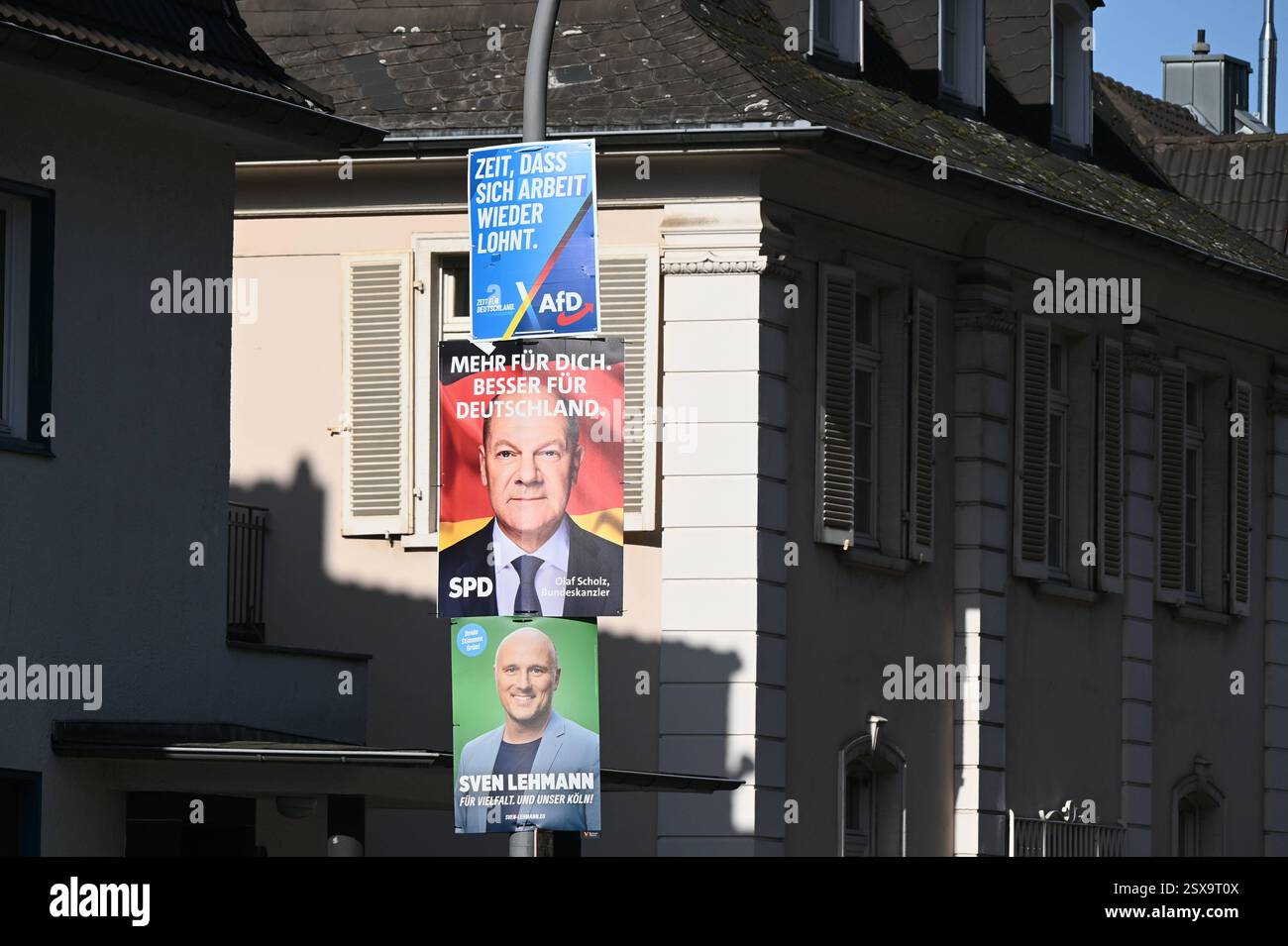 Wahlplakate von AFD, SPD, Grüne zur Bundestagswahl 2025 an einem ...