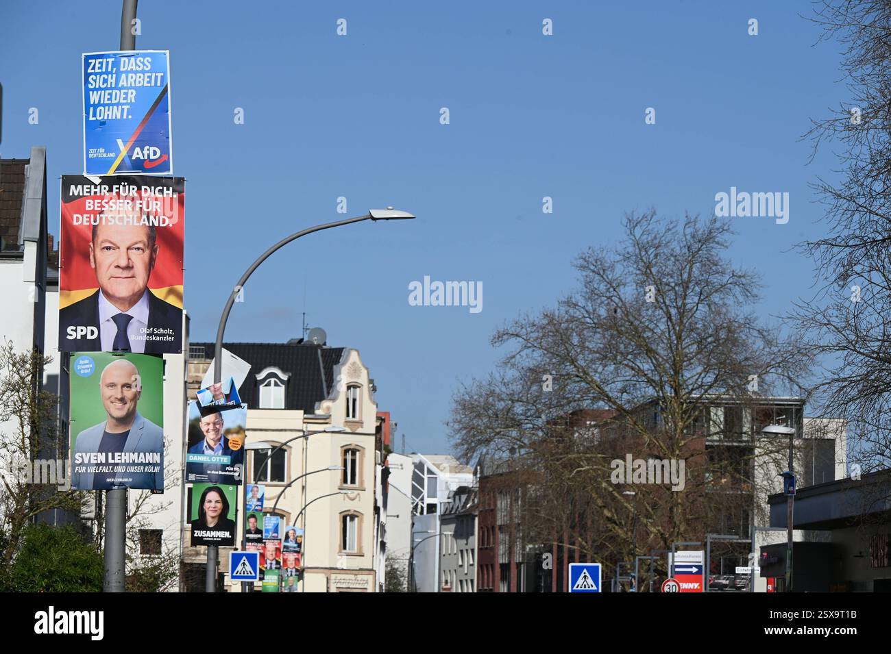 Wahlplakate von AFD, SPD, Grüne zur Bundestagswahl 2025 an einem ...