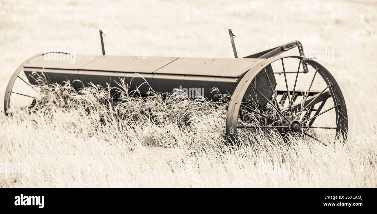Une grande charrue à l'ancienne est assise dans un champ d'herbes ...