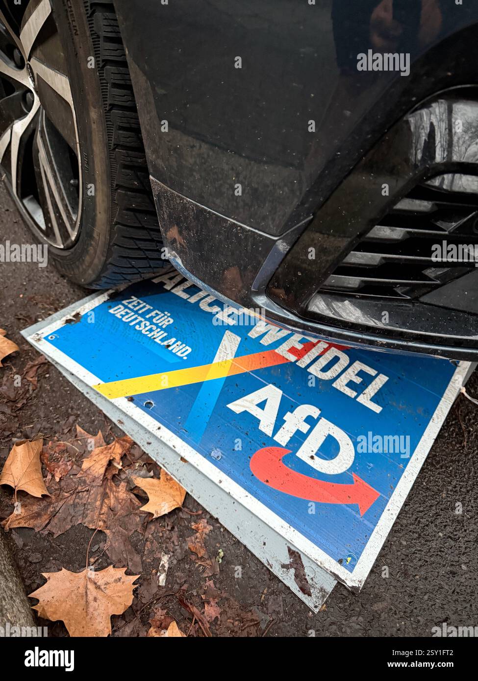 Wahlplakat AFD GER, Berlin,20250226, Plakat der AFD, Alice Weidel ...