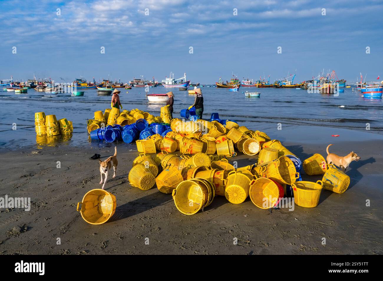 Des femmes aux chapeaux coniques trient des paniers en plastique pour ...