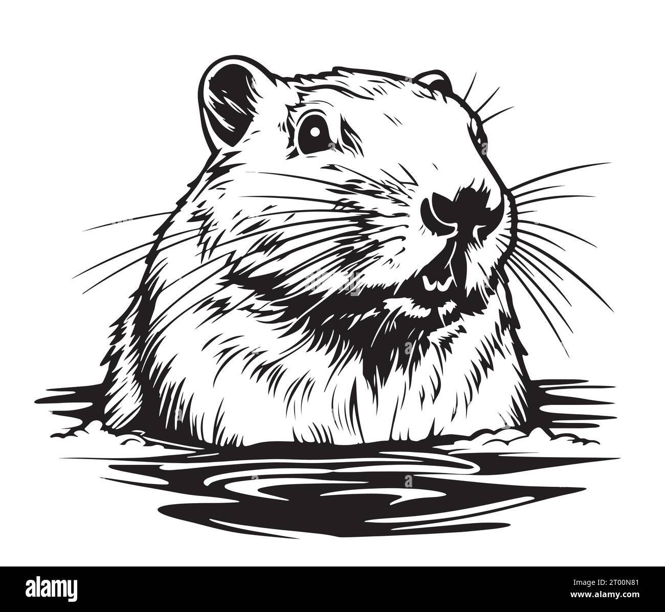 Croquis de tête de castor dessin à la main Vector illustration animaux ...