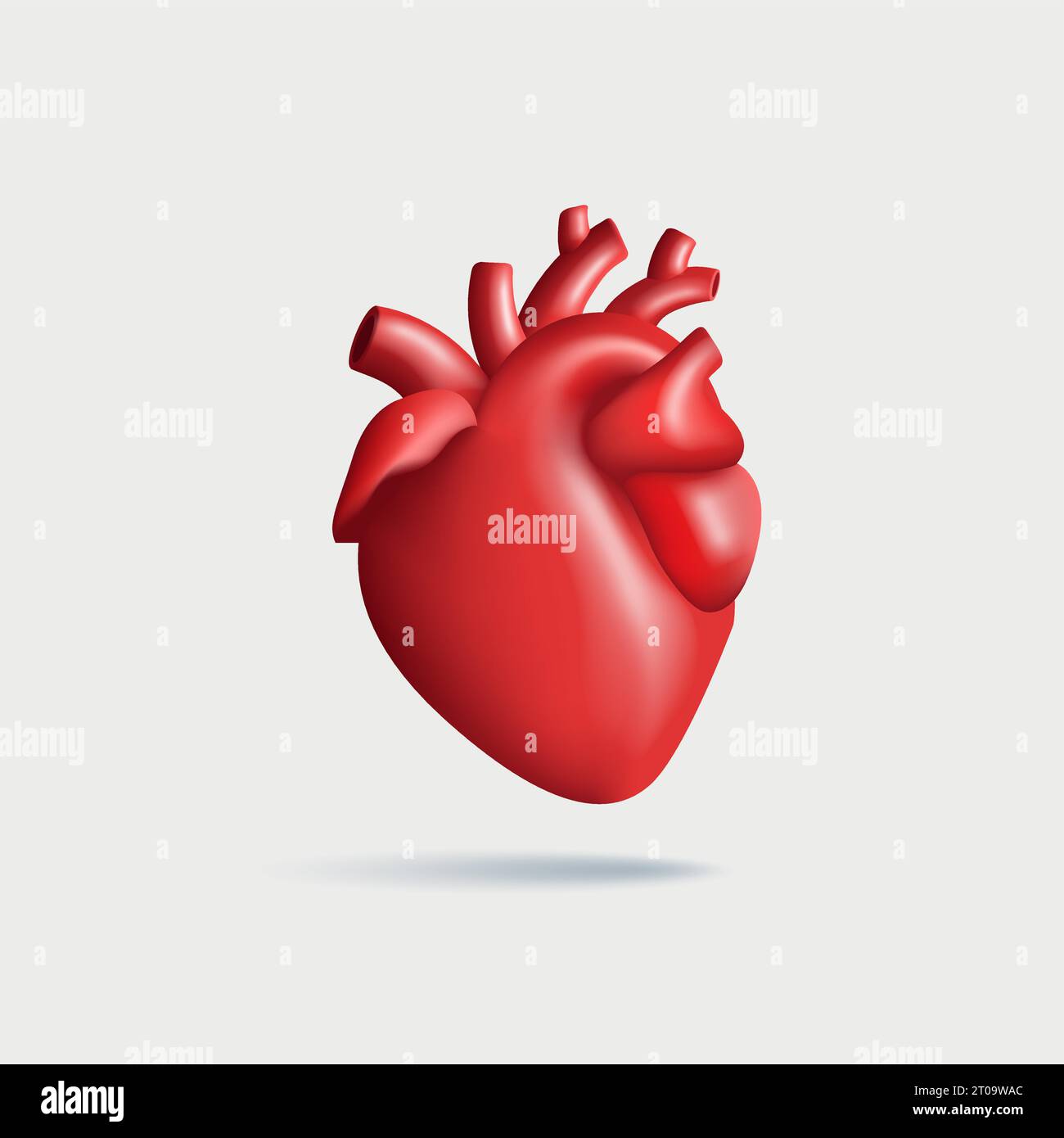 illustration réaliste de cœur humain vectoriel 3d. Coeur anatomiquement ...