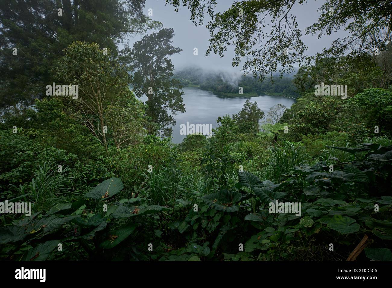 Point de vue des lacs jumeaux de bali Banque de photographies et d ...