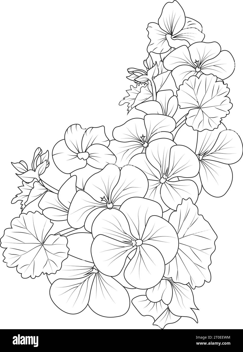 dessins de tatouage de géranium, illustration en noir et blanc. dessin ...