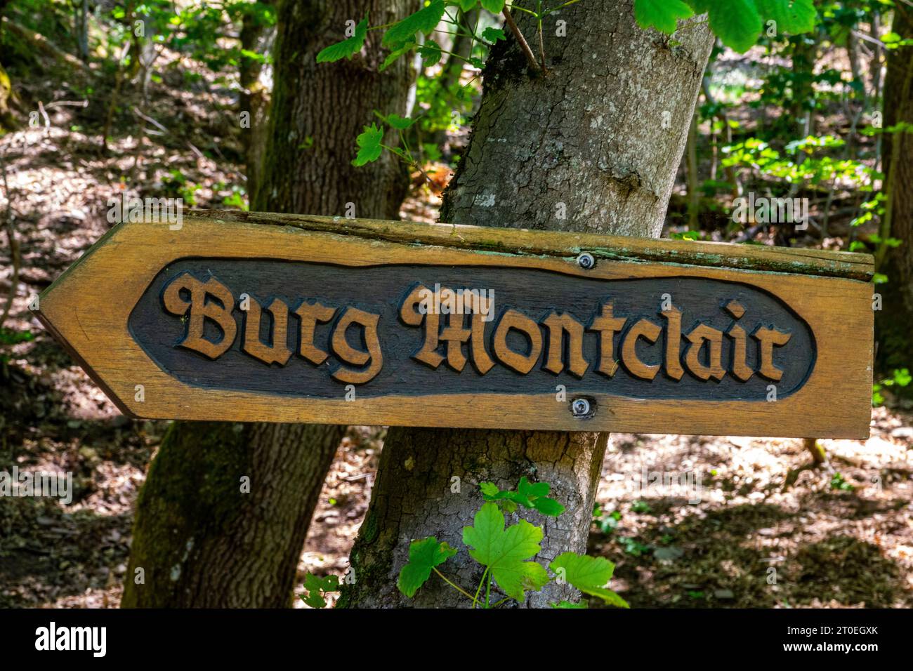 Château de montclair Banque de photographies et d’images à haute ...