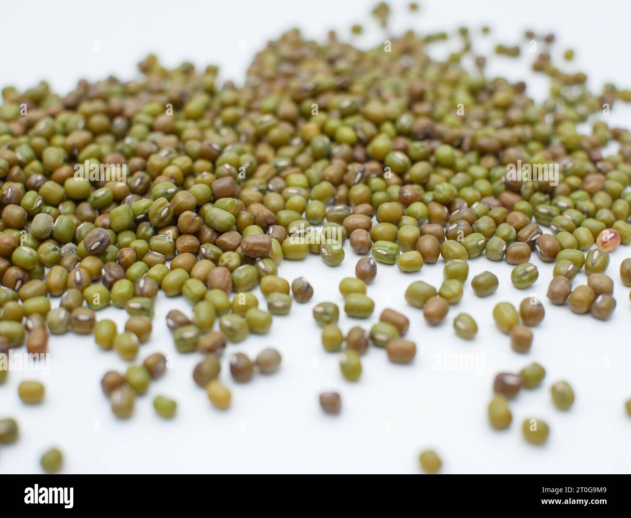 Graine de haricot ouverte Banque de photographies et d’images à haute ...