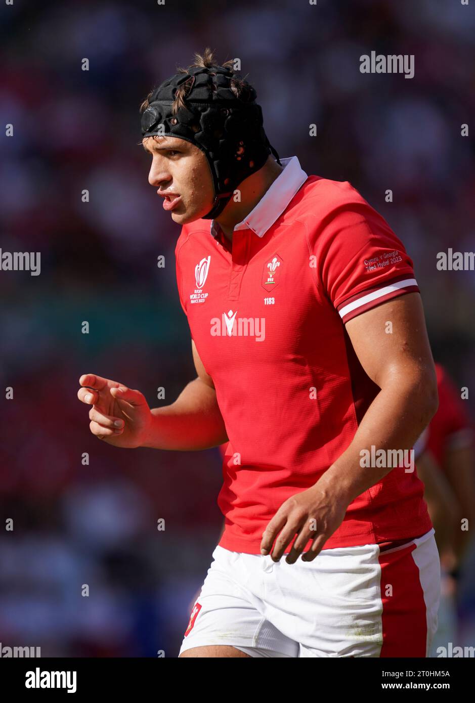 Dafydd Jenkins du pays de Galles lors de la coupe du monde de Rugby ...