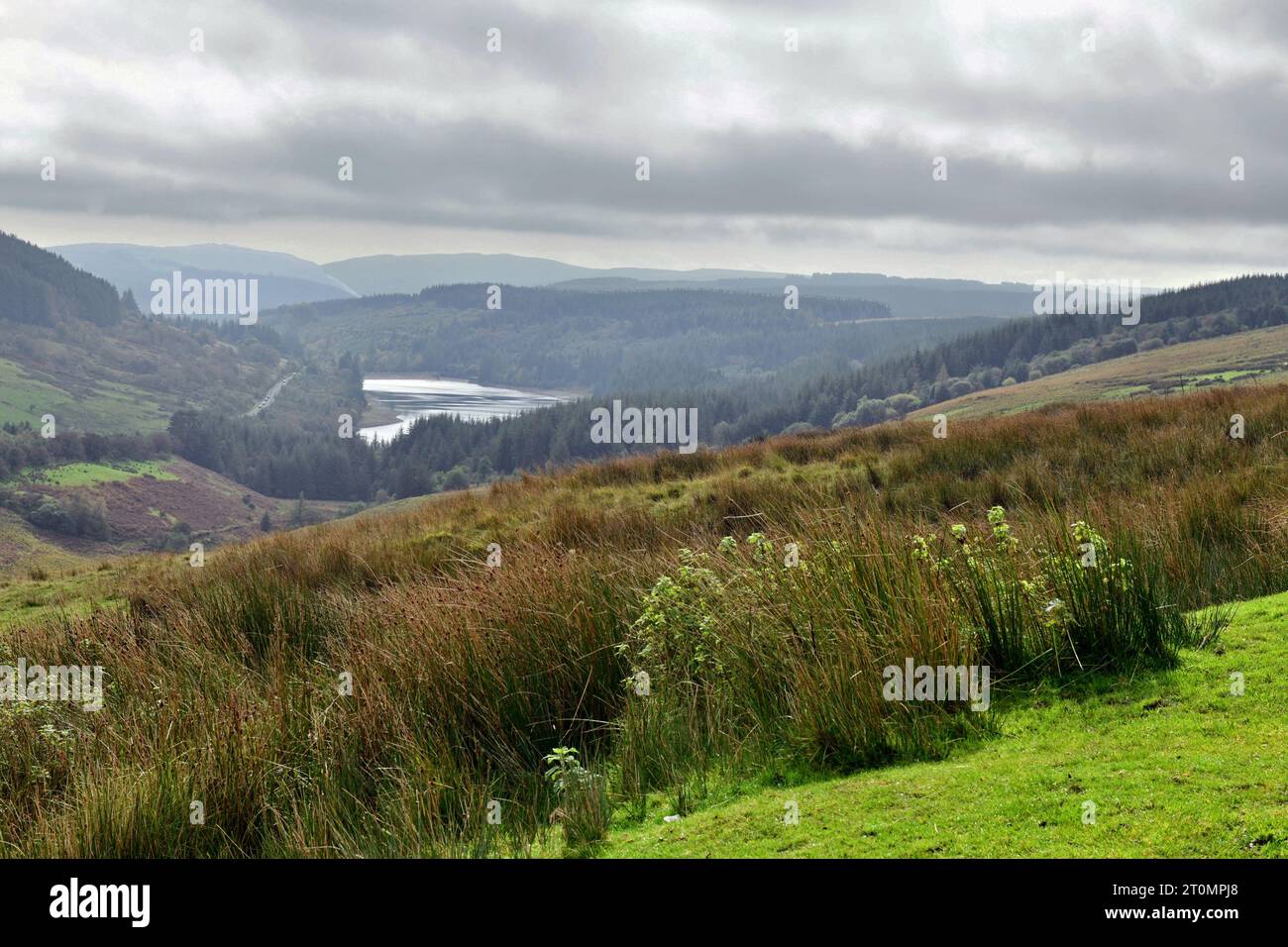 Route nationale a470 Banque de photographies et d’images à haute ...