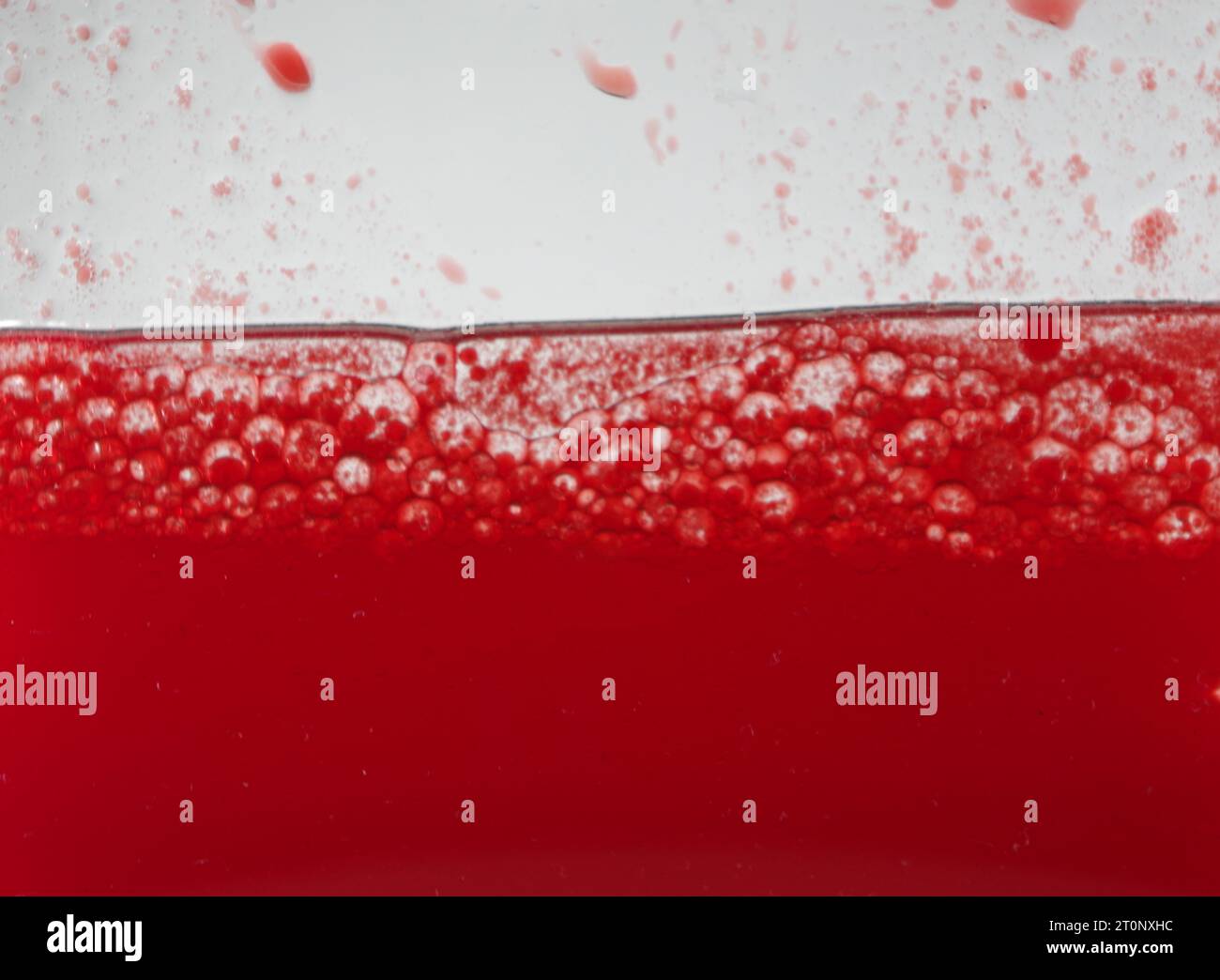 Surface tension Banque de photographies et d’images à haute résolution ...