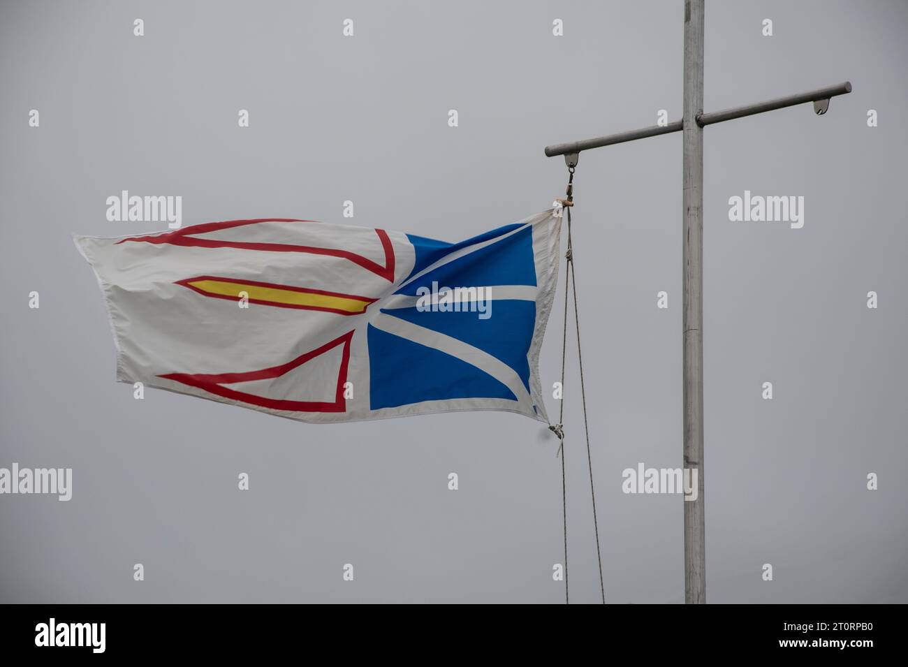 Newfoundland flag Banque de photographies et d’images à haute résolution - Alamy