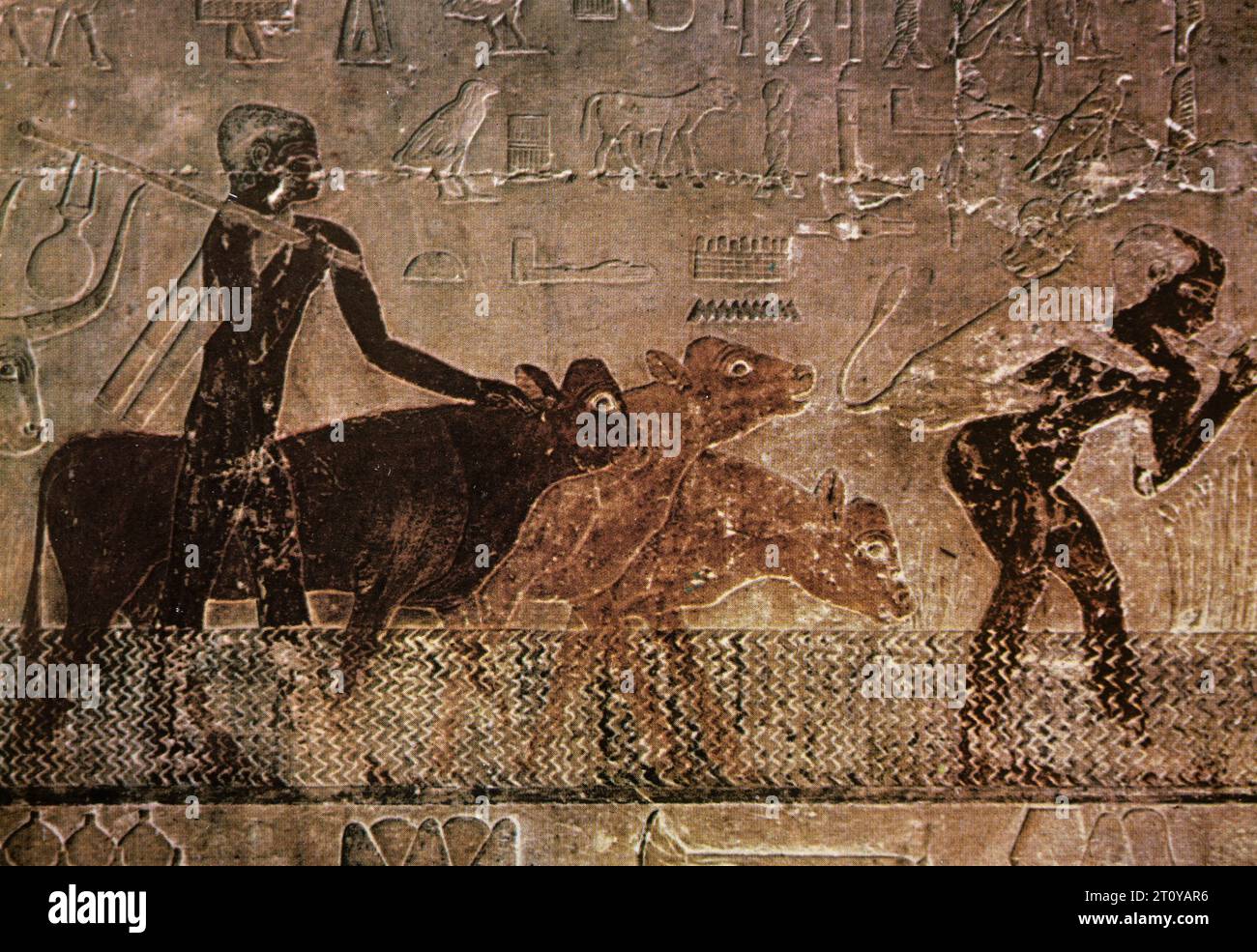 Mastaba de ty Banque de photographies et d’images à haute résolution ...