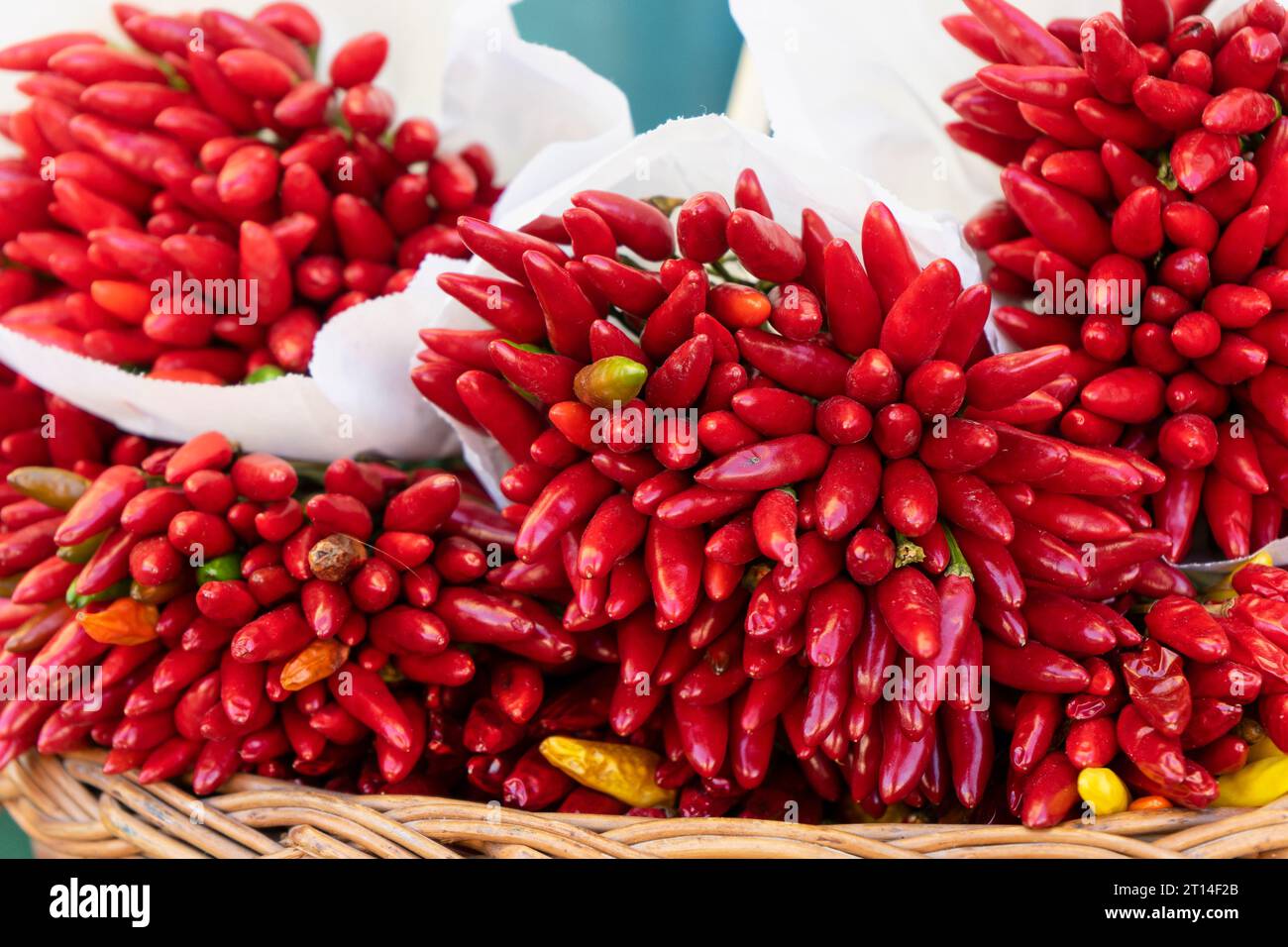 Gros plan d'un grand bouquet de piments rouges et orange frais sur un ...
