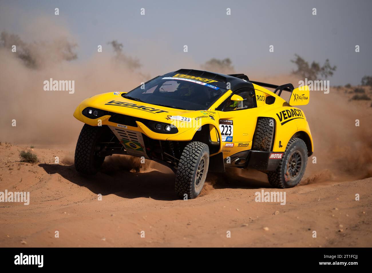 223 BAUMGART STROCZYNSKI Marcos (BRA), CINCEA Kleber (BRA), X-Rally ...