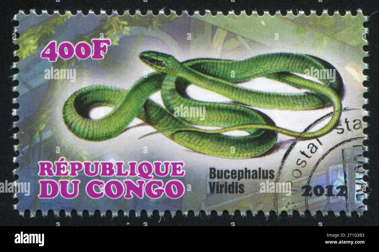 Serpent du congo Banque de photographies et d’images à haute résolution ...