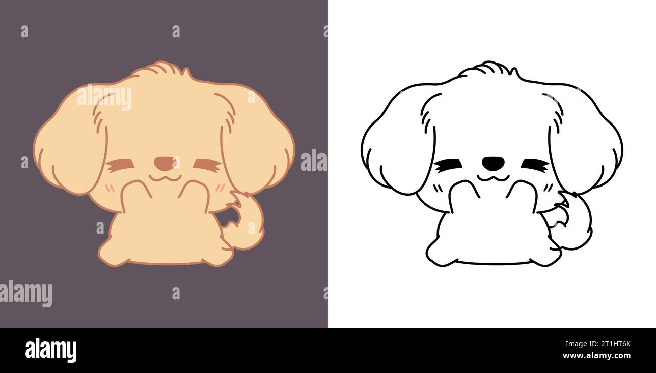 Husky Limier Golden Retriever Mélange De Dogue