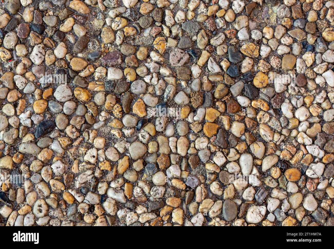 Seamless texture with pebbles Banque de photographies et d’images à ...