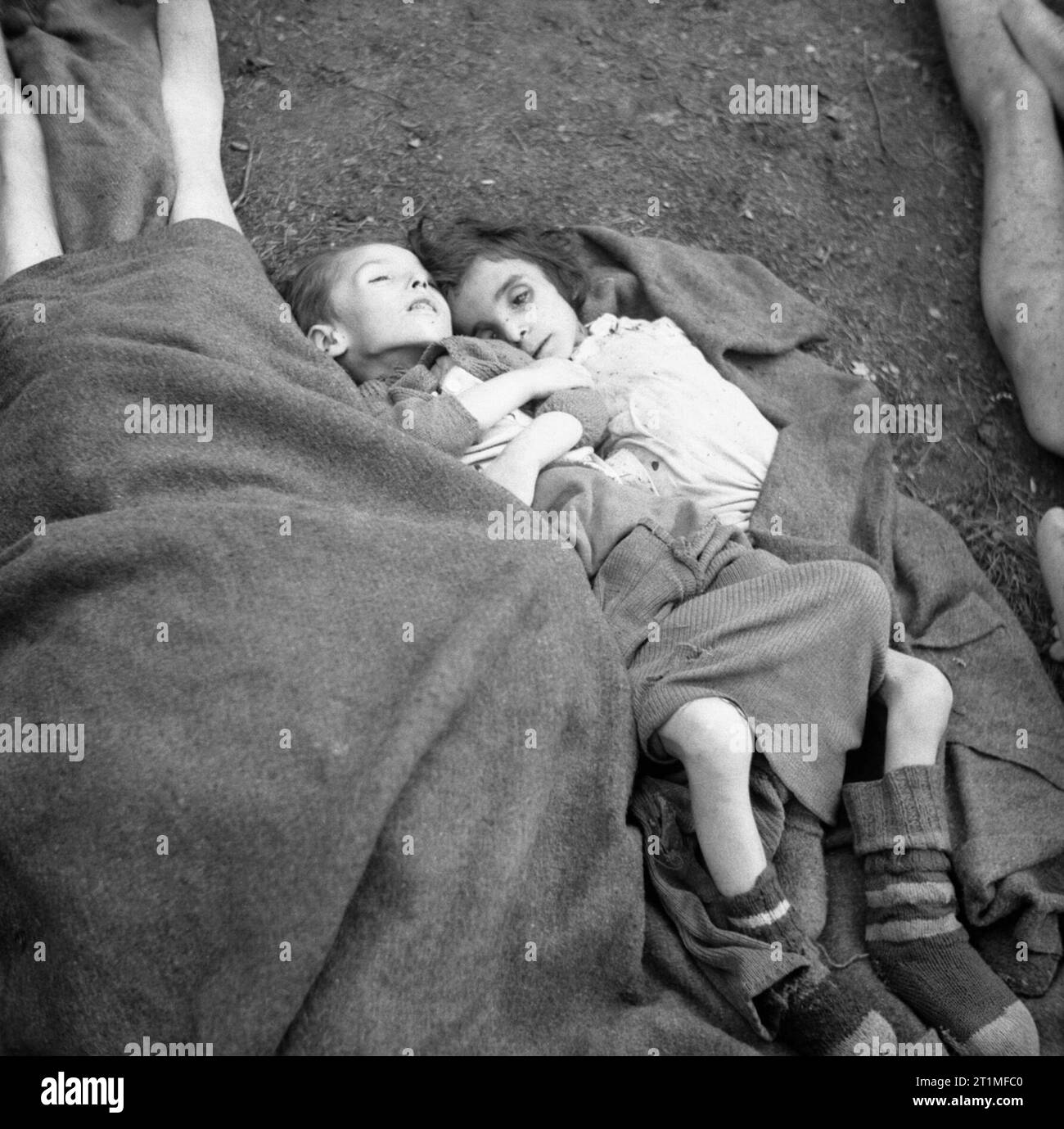 Dead bodies bergen belsen concentration camp Banque de photographies et ...