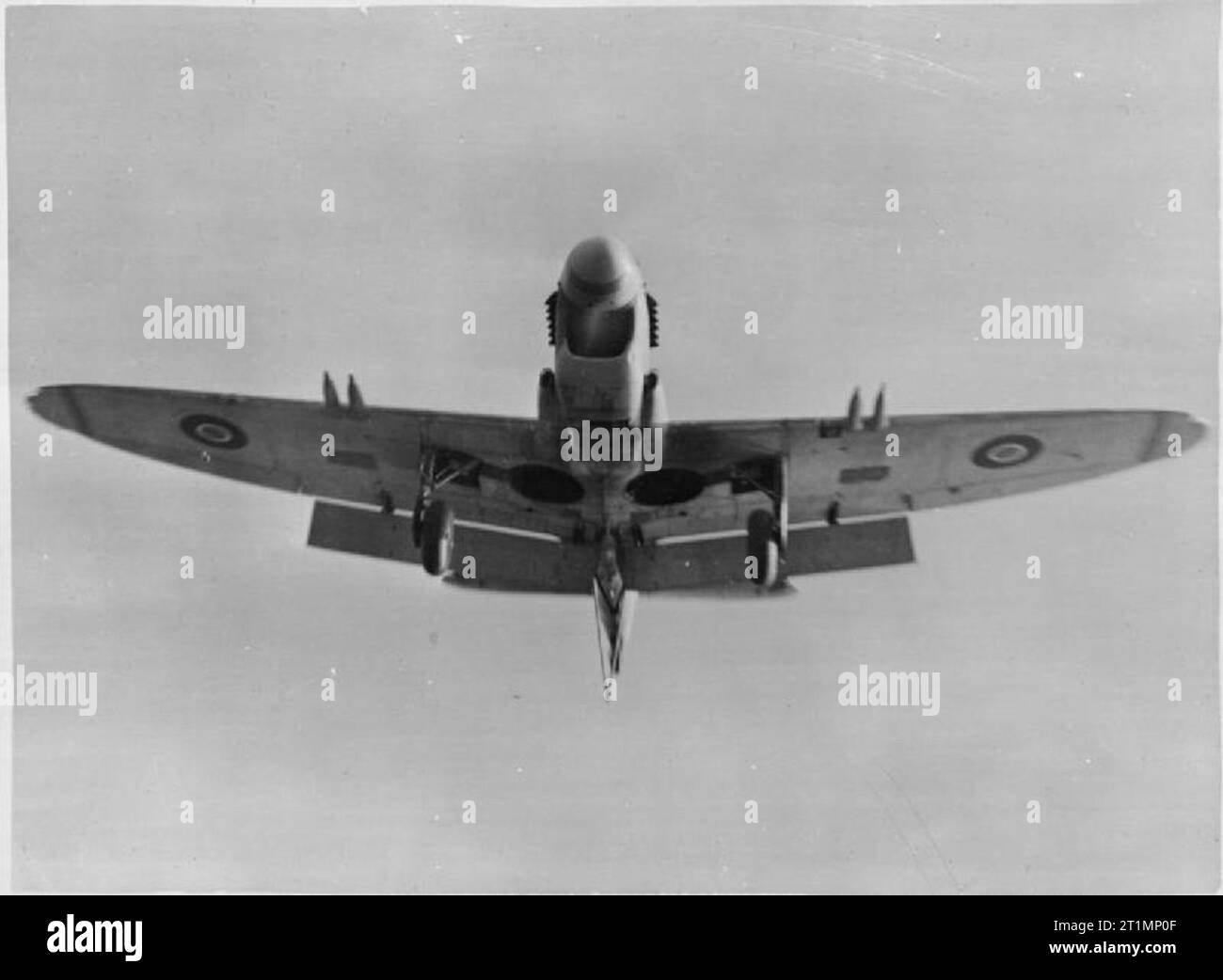 Hms firefly Banque de photographies et d’images à haute résolution - Alamy