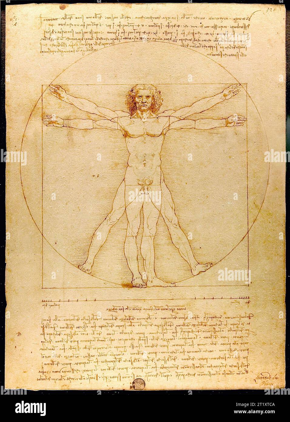 Art, Da Vinci et dessin de l'anatomie de l'homme pour la peinture de la ...