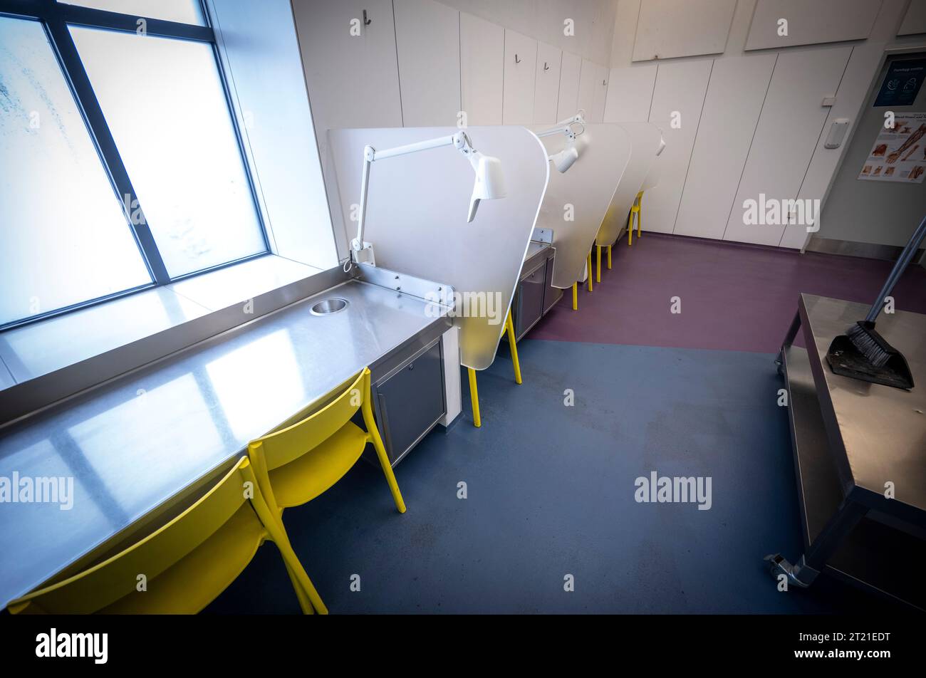 Copenhague 2023 Banque de photographies et d’images à haute résolution ...