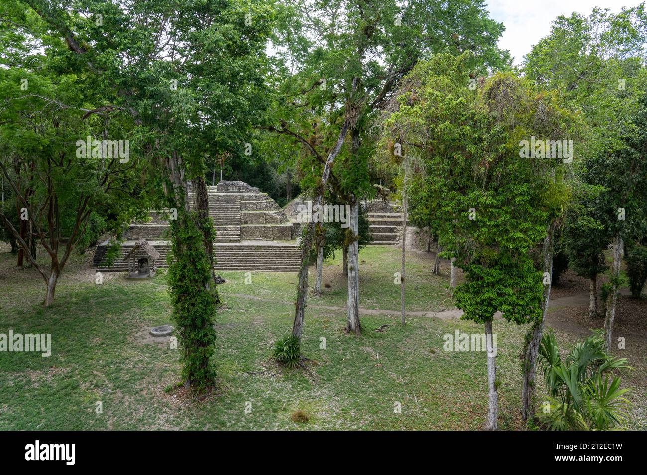 Le groupe Maler ou place des ombres dans les ruines mayas dans le parc ...