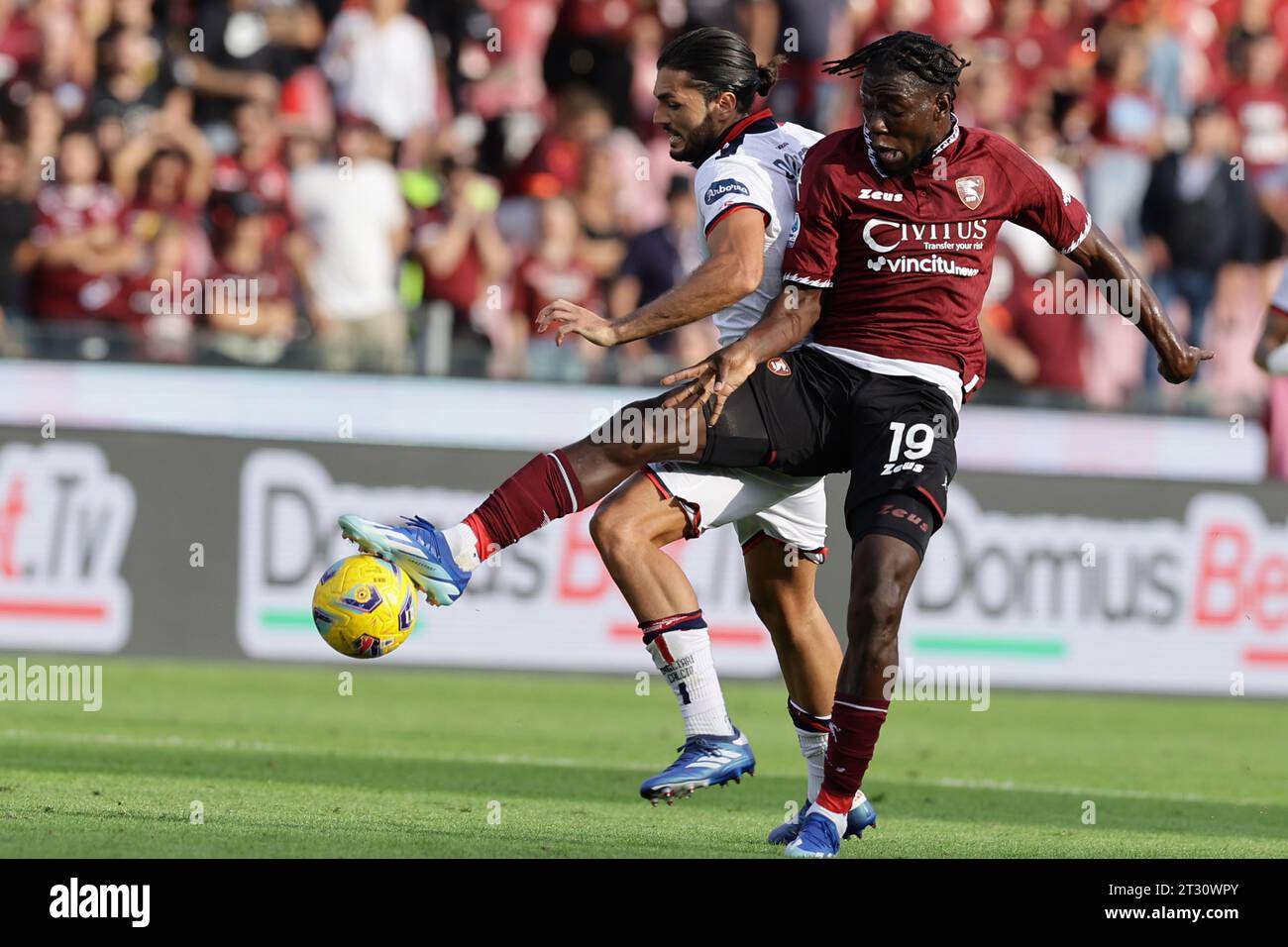 L'attaquant de Salernitana Trivante Stewart défie le défenseur italien ...