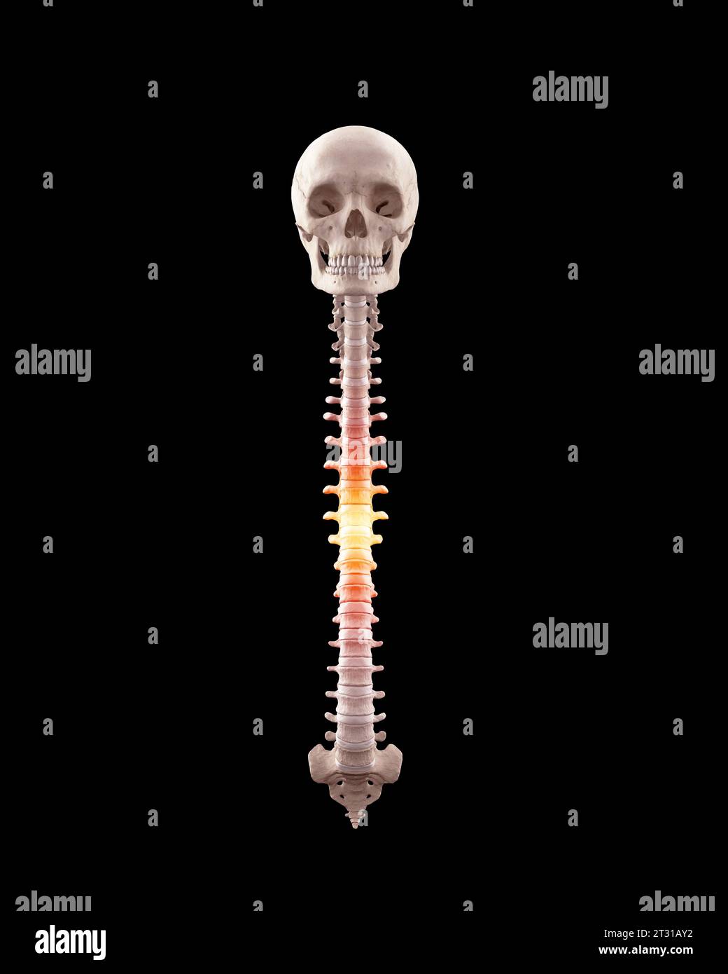 Cervical spine injury Banque de photographies et d’images à haute ...