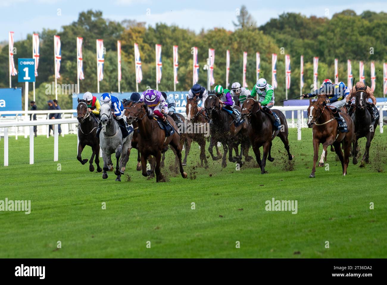 Ascot, Berkshire, Royaume-Uni. 21 octobre 2023. Cheval gris Art Power ...