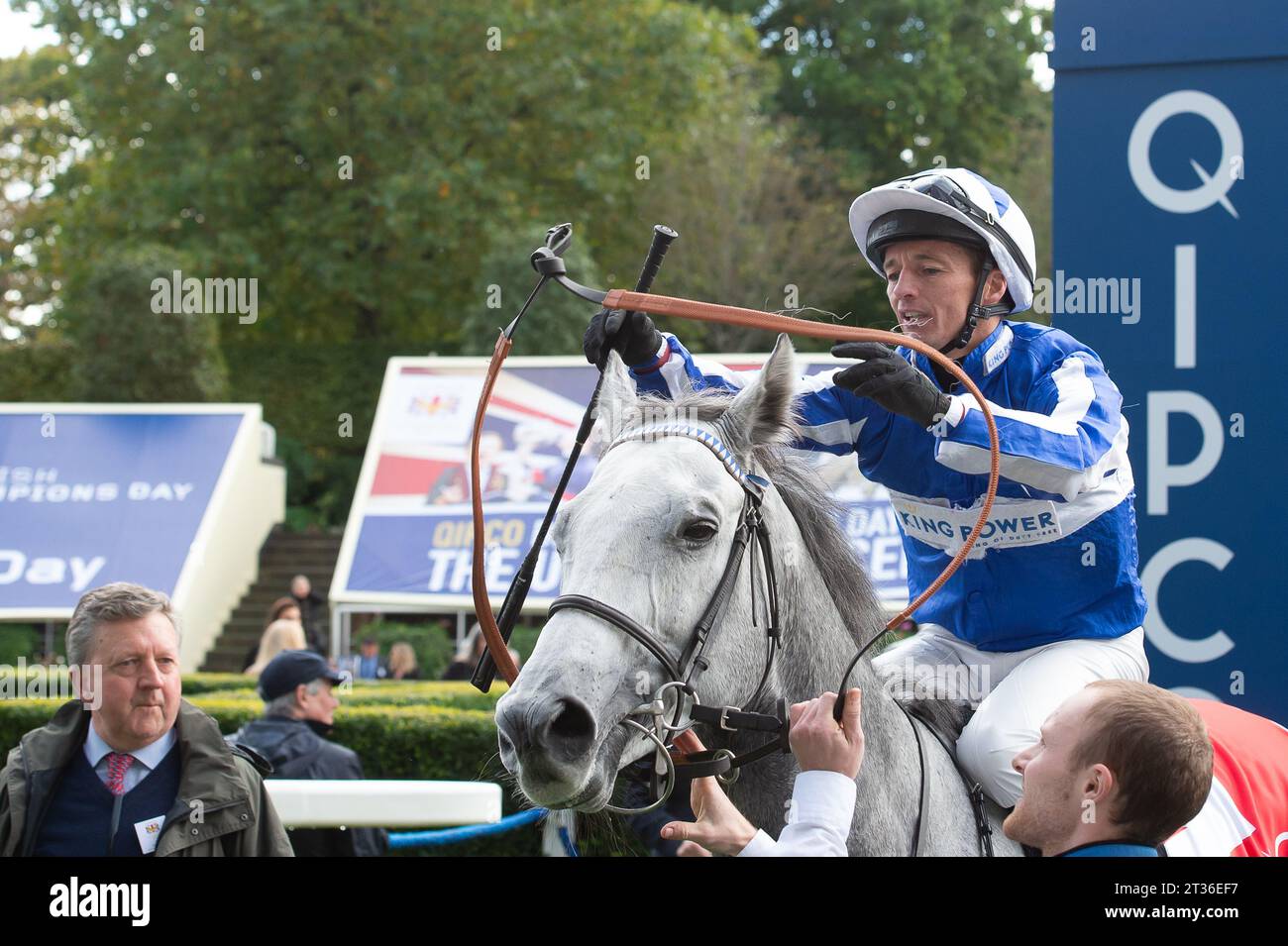 Ascot, Berkshire, Royaume-Uni. 21 octobre 2023. Cheval gris Art Power ...