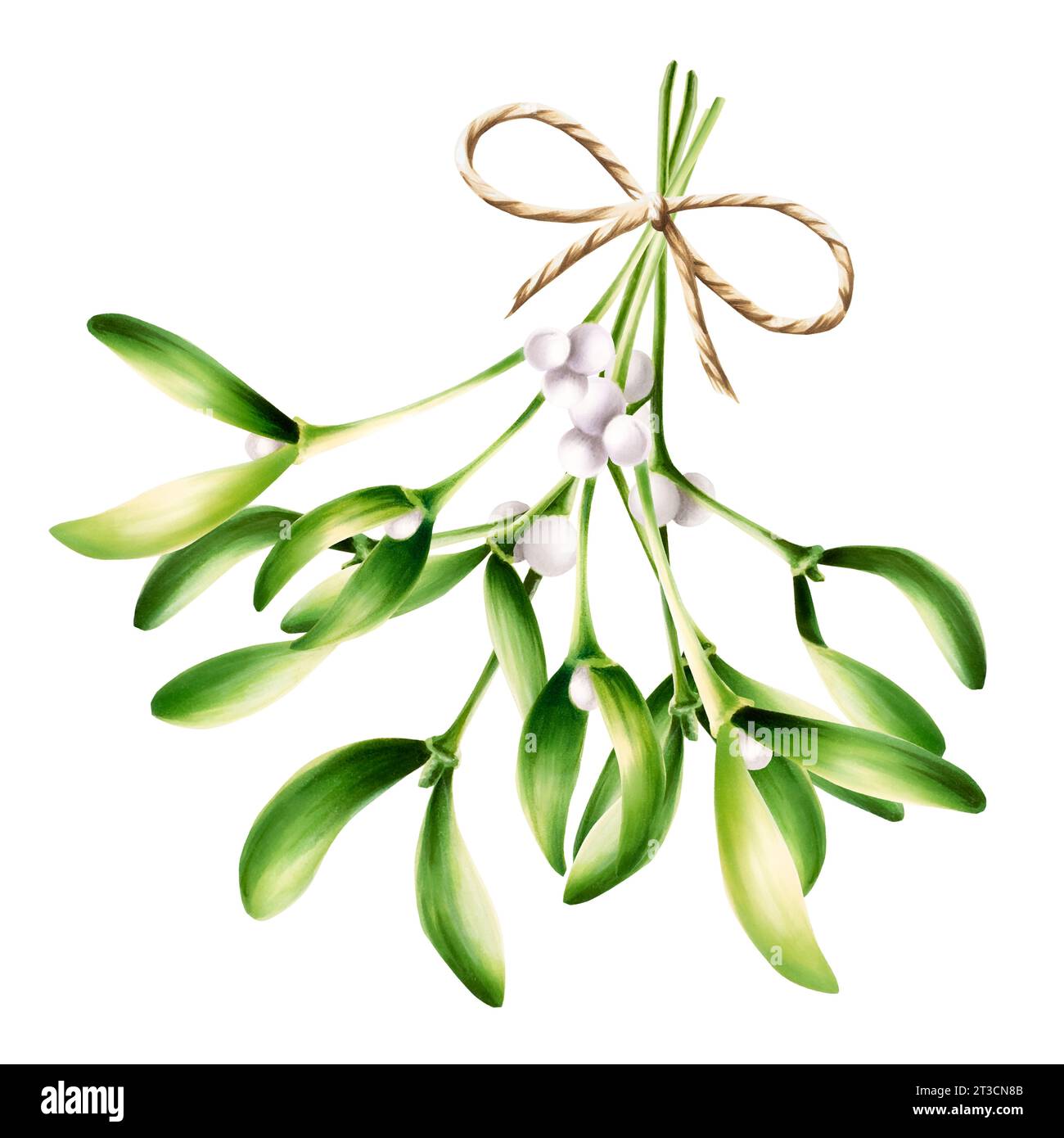 Gui noël Banque d'images détourées - Alamy