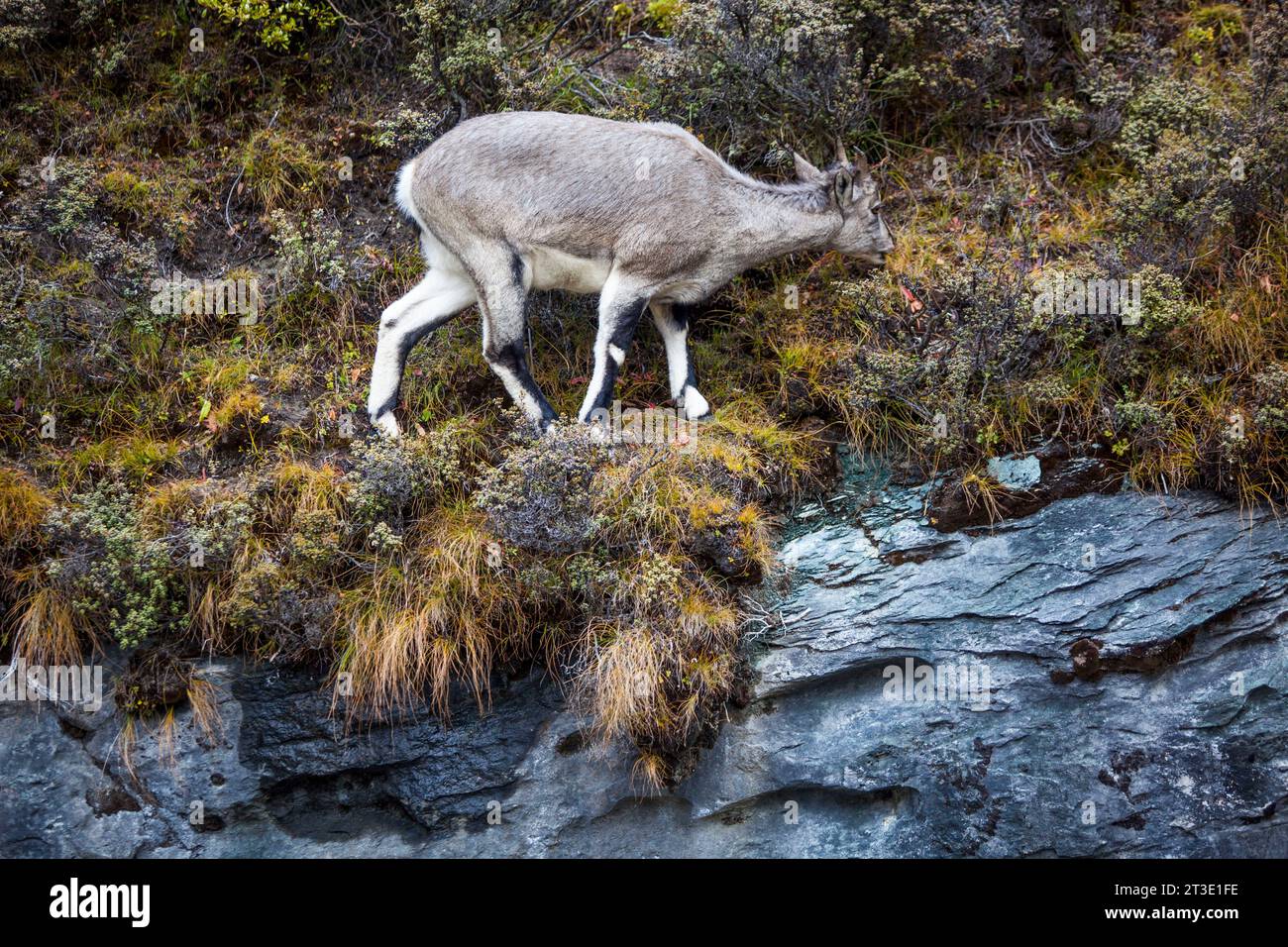 GANZI, CHINE - 15 OCTOBRE 2023 - une photo prise le 15 octobre 2023 ...