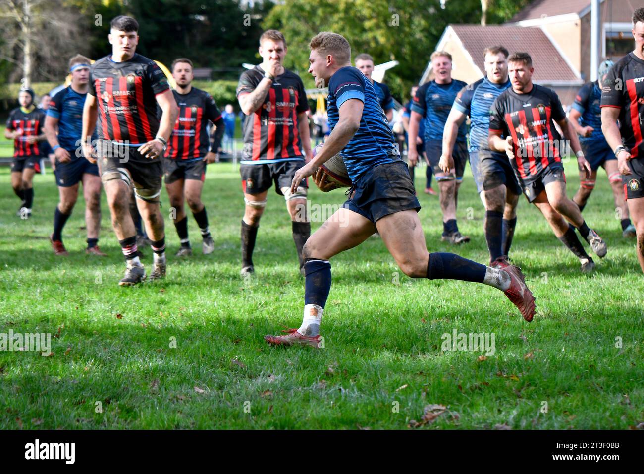 Maesteg quins rfc Banque de photographies et d’images à haute ...