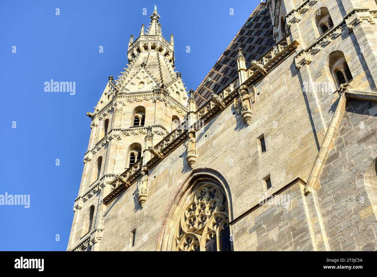 Wien, Stephansdom, Riesentor, romanisch, Portal, Eingang, Österreich ...