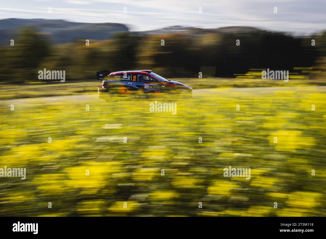 11 Thierry NEUVILLE (bel), Martijn WYDAEGHE (bel), HYUNDAI SHELL MOBIS ...