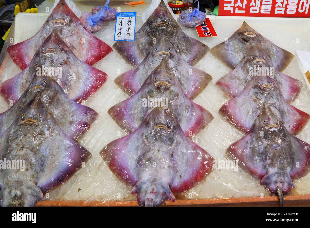 SÉOUL, CORÉE DU SUD - 5 AVRIL 2023 : poisson ray au marché de gros de ...