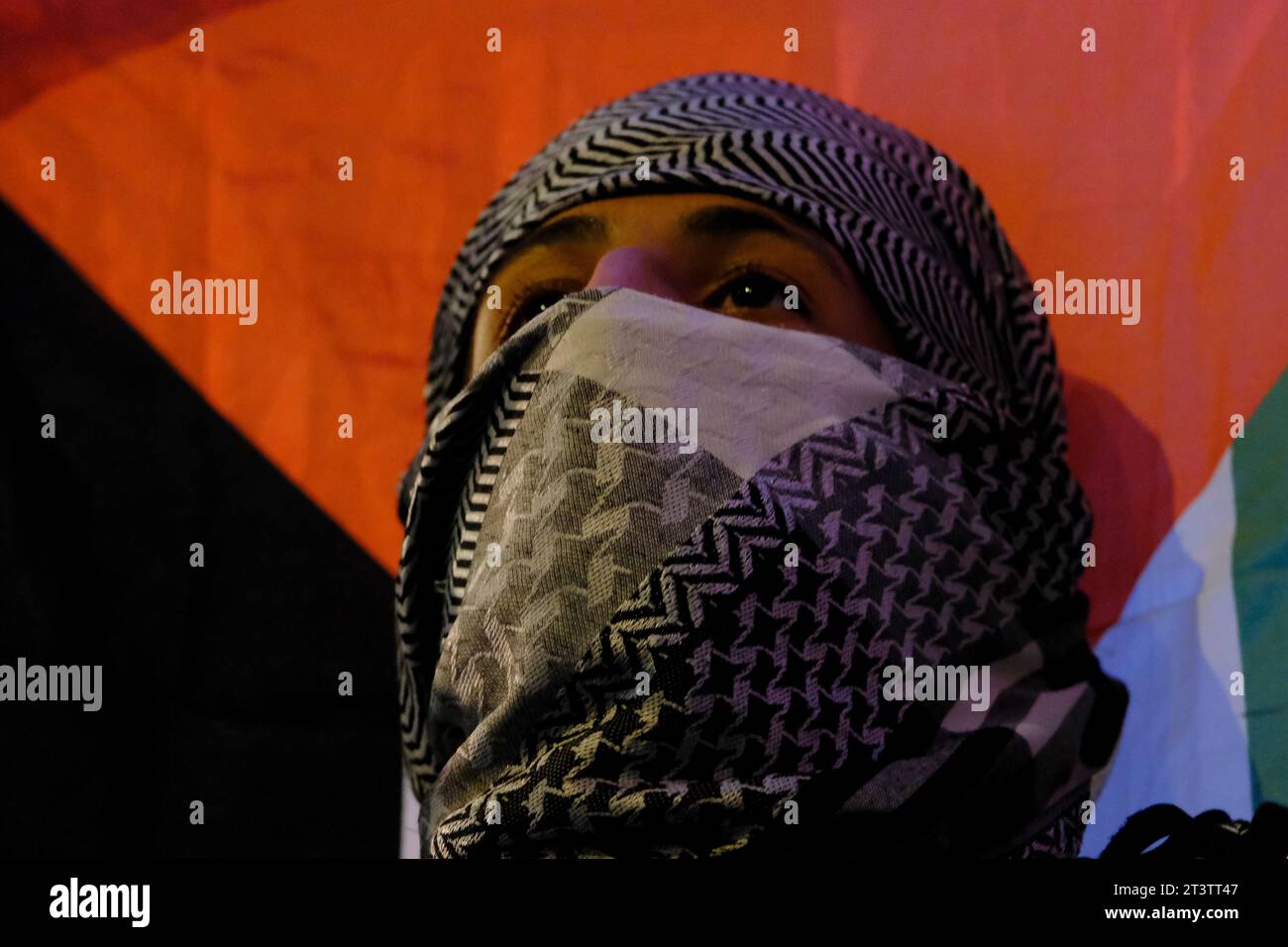 NEW YORK, NY : 26 octobre : les manifestants pro-Palestine se ...