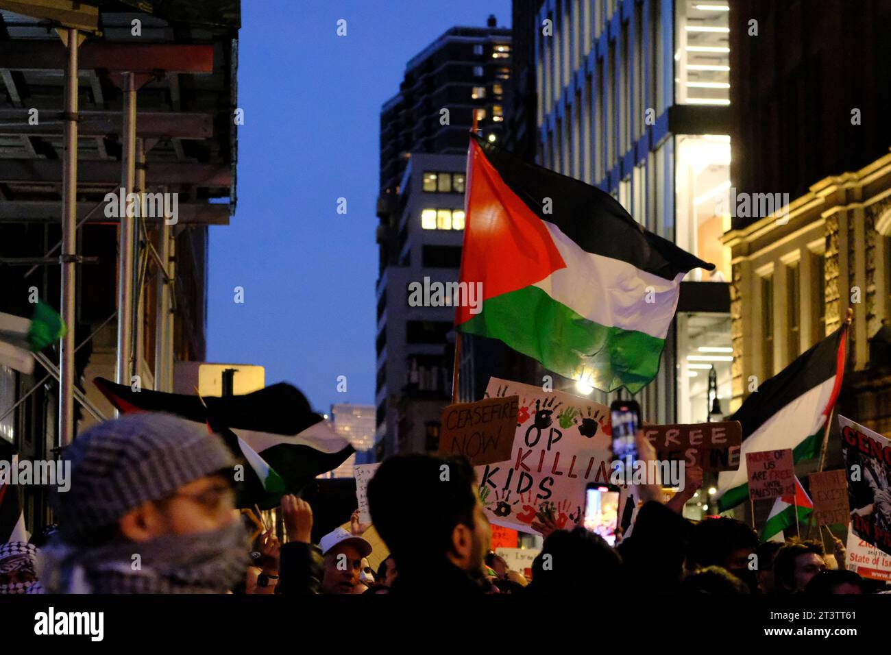 NEW YORK, NY : 26 octobre : les manifestants pro-Palestine se ...