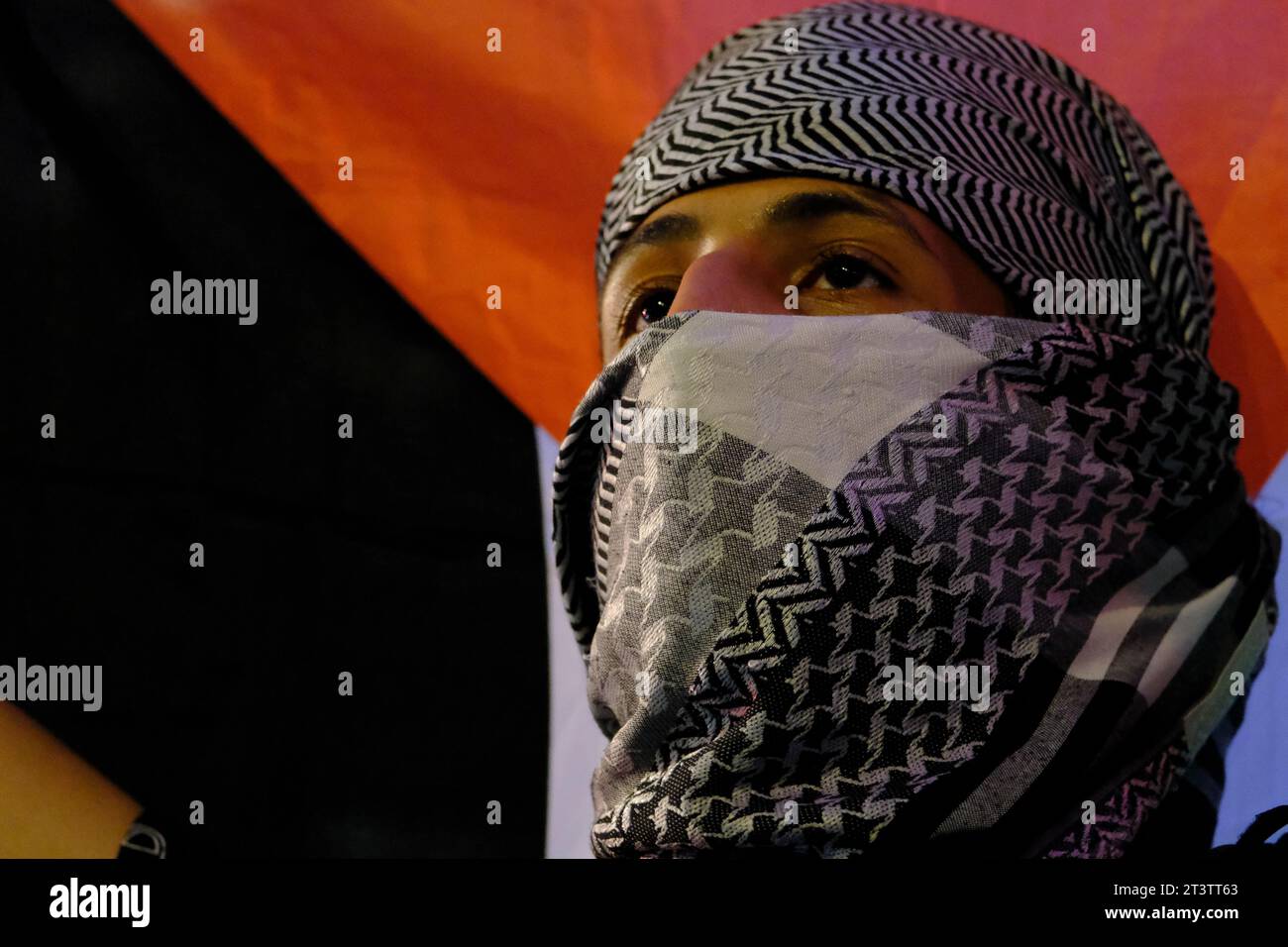 NEW YORK, NY : 26 octobre : les manifestants pro-Palestine se ...