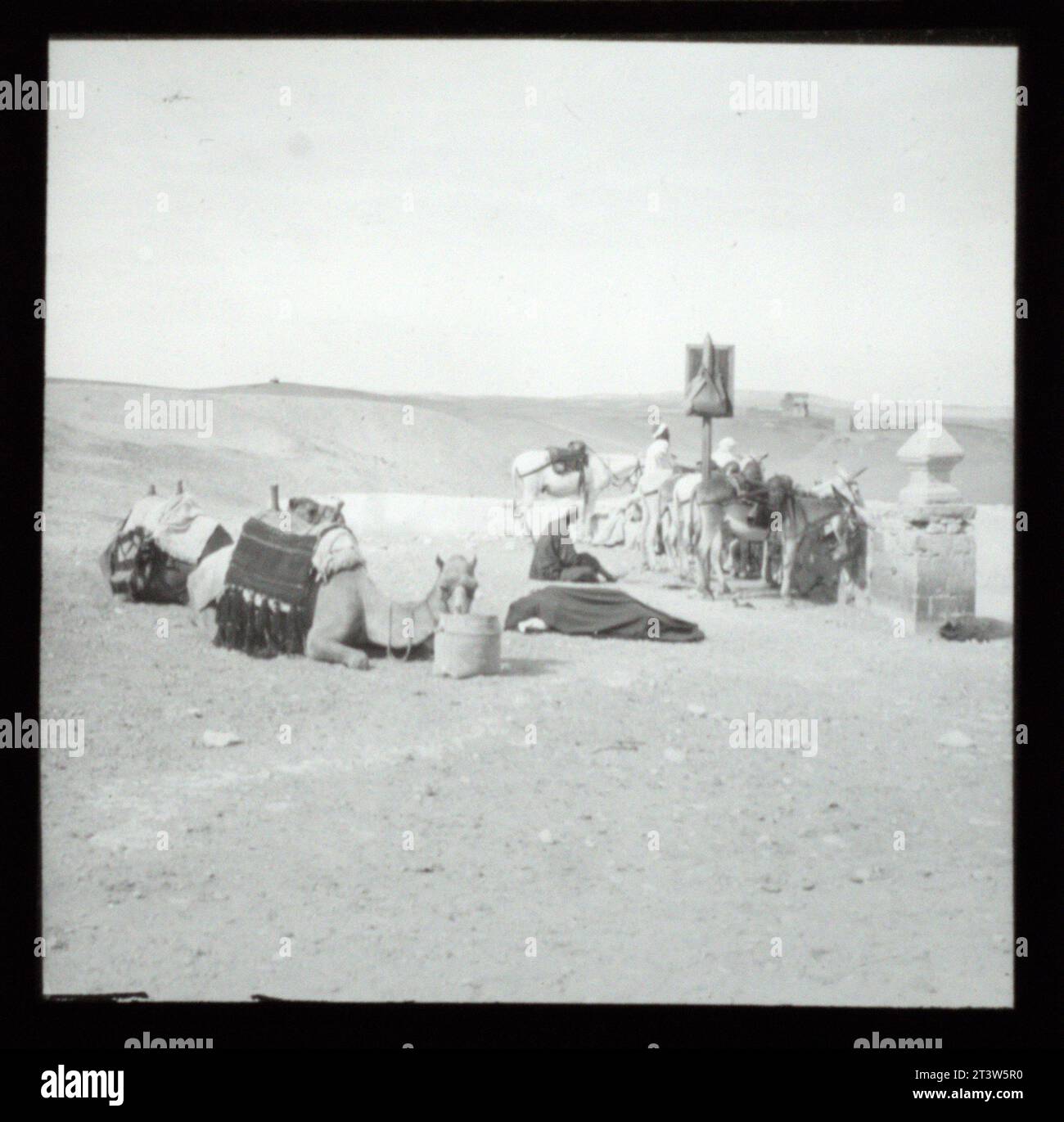 Cairo egypt 1920s Banque de photographies et d’images à haute ...
