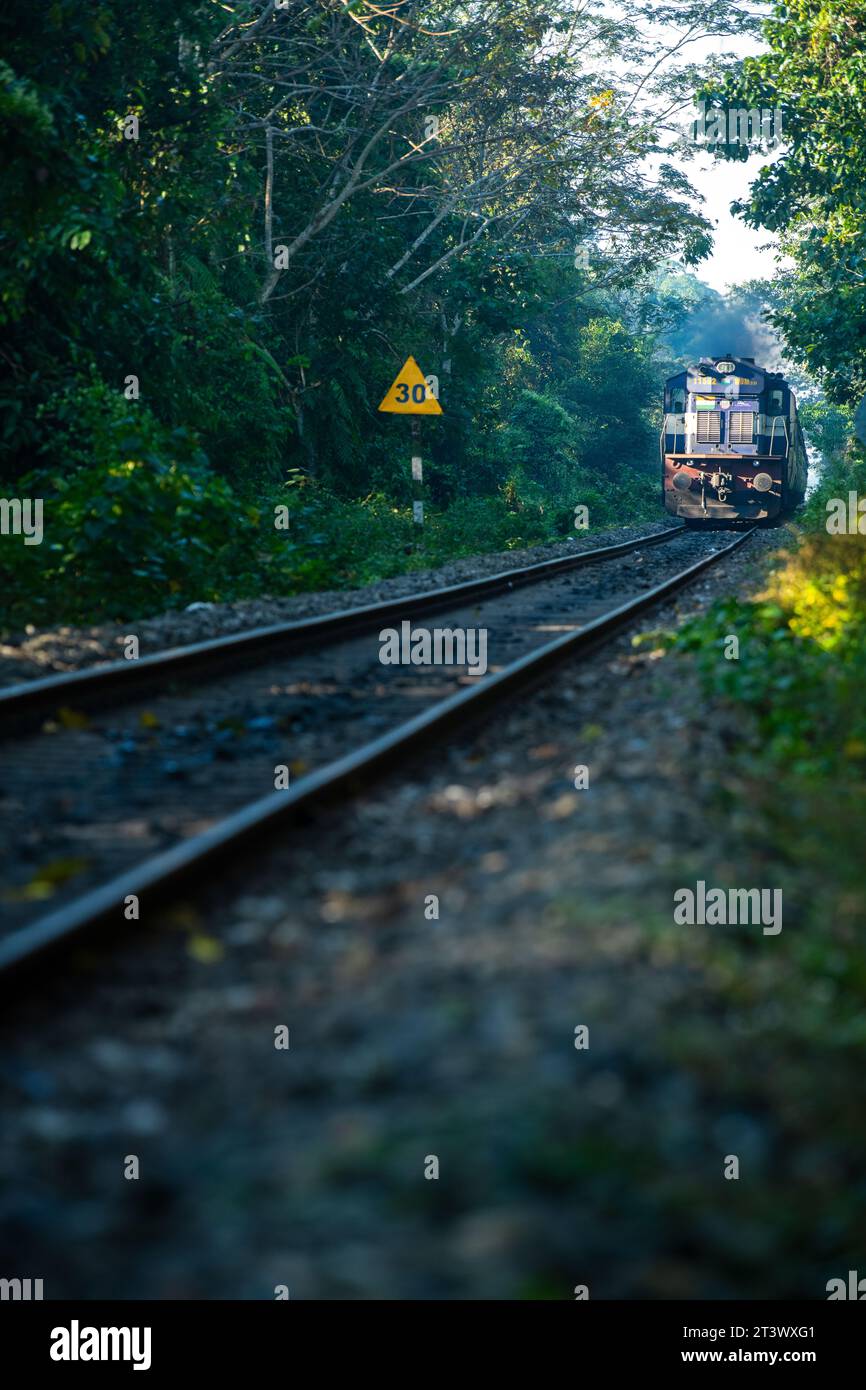 Un train circulant sur une voie ferrée traversant une zone dense de ...