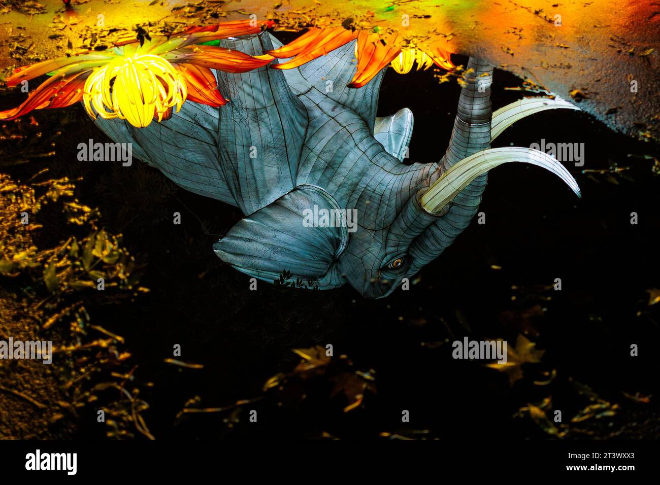 Wroclaw, Wroclaw, Pologne. 26 octobre 2023. Le thème du jardin de ...