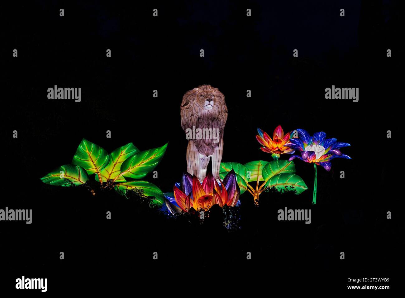 Wroclaw, Wroclaw, Pologne. 26 octobre 2023. Le thème du jardin de ...