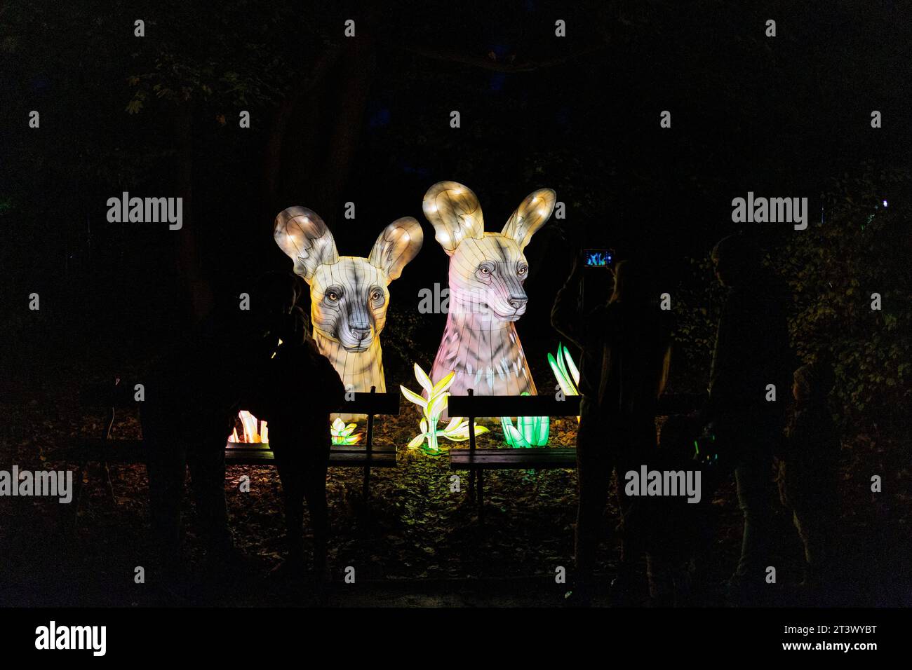 Wroclaw, Wroclaw, Pologne. 26 octobre 2023. Le thème du jardin de ...
