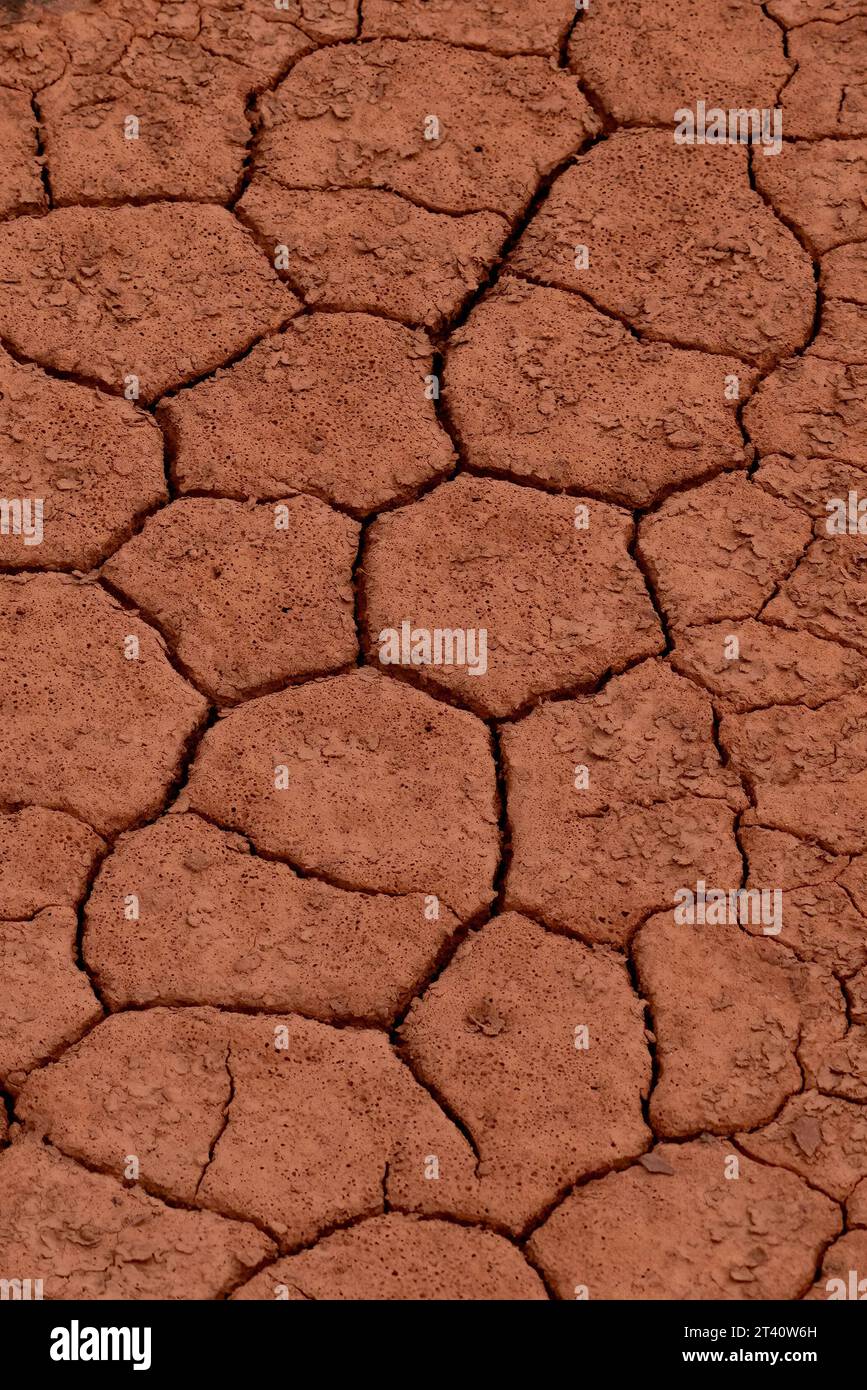 Terre rouge fissurée Banque de photographies et d’images à haute ...