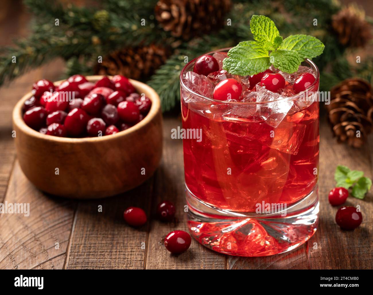 Cocktail de canneberges avec des canneberges fraîches et des feuilles ... Cocktail de canneberges avec des canneberges fraîches et des feuilles ...