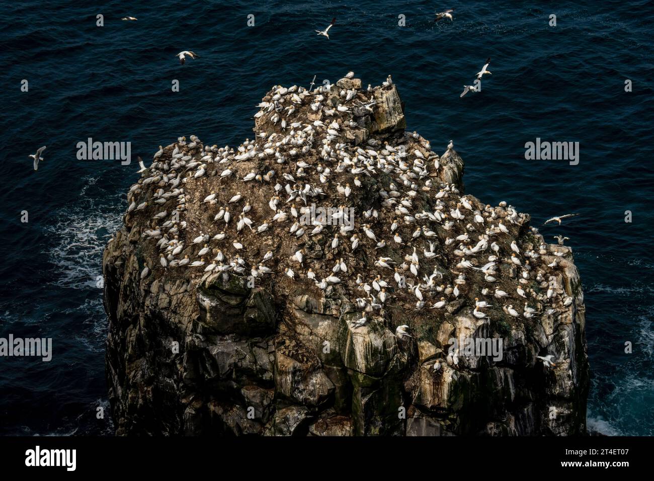 Langanes peninsular Banque de photographies et d’images à haute ...